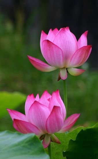 Những Góc Nhìn Khác Quanh ảnh Sex Hoa Hậu”
